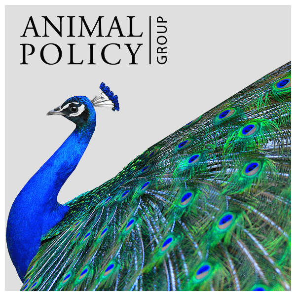 Sam Geiling - Animal Policy Group